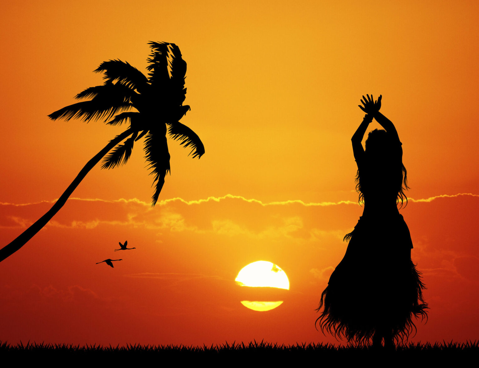 フラダンス | gokant